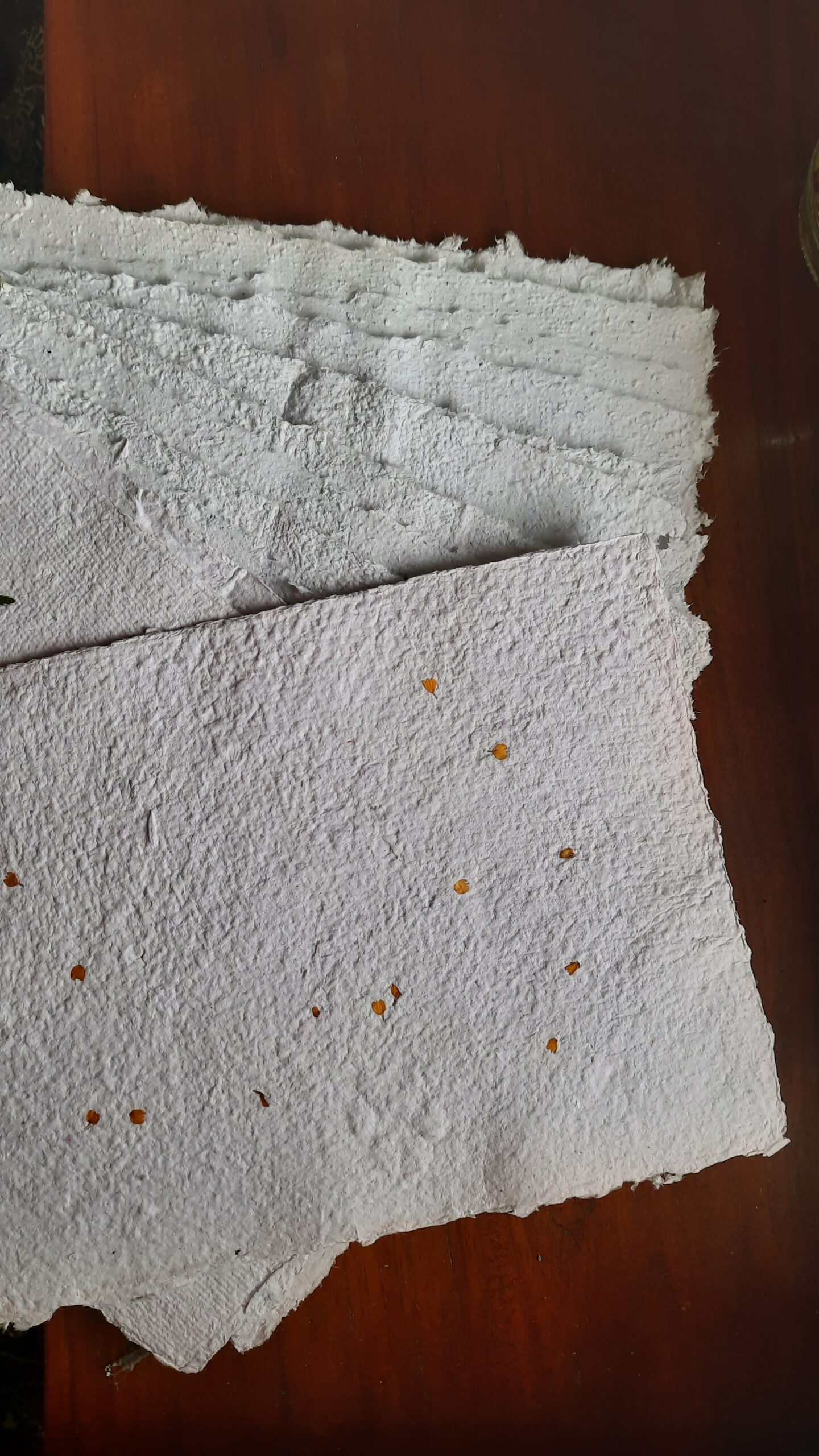 Belajar Mendaur Ulang Kertas, Belajar Merawat Ibu Bumi - Pusaka ...