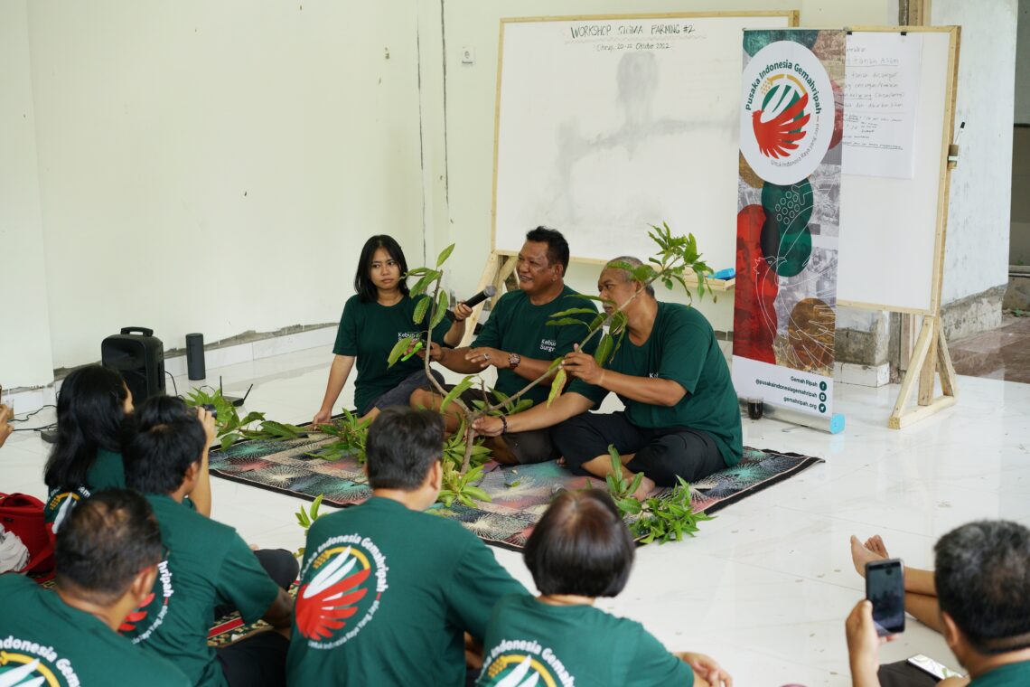 Belajar Sigma Farming Bersama Adolf Hutajulu - Pusaka Indonesia Gemahripah