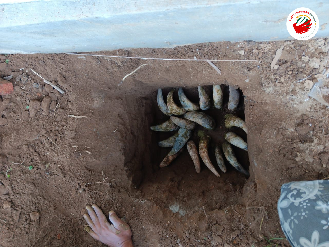 Tiga Amunisi Andalan Kebun Sigma Farming. Yuk, Buat Sendiri! - Pusaka ...