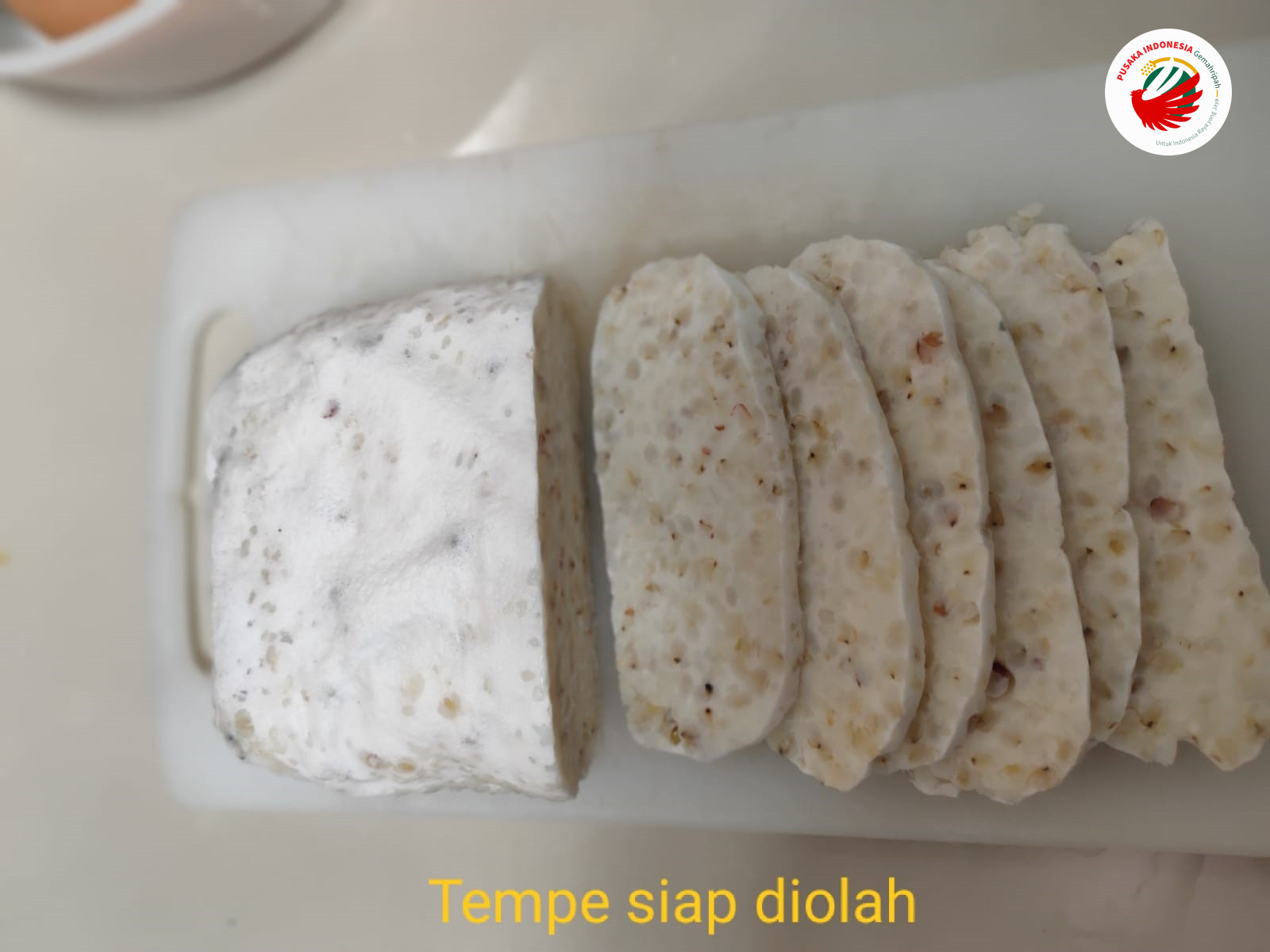 Tempe Sorgum Mudah Dibuat, Kaya Manfaat - Pusaka Indonesia Gemahripah