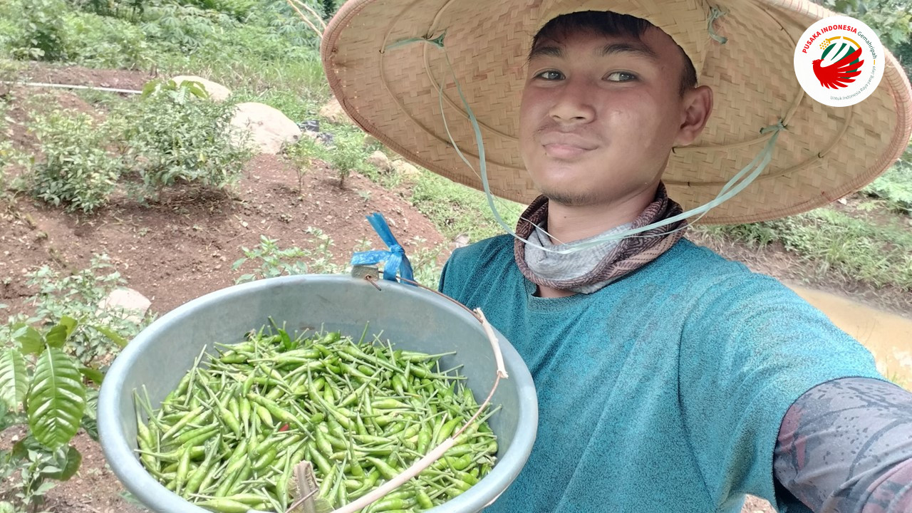 Perjalanan Petani Muda Sigma Farming Berproses Menjadi Versi Terbaik ...