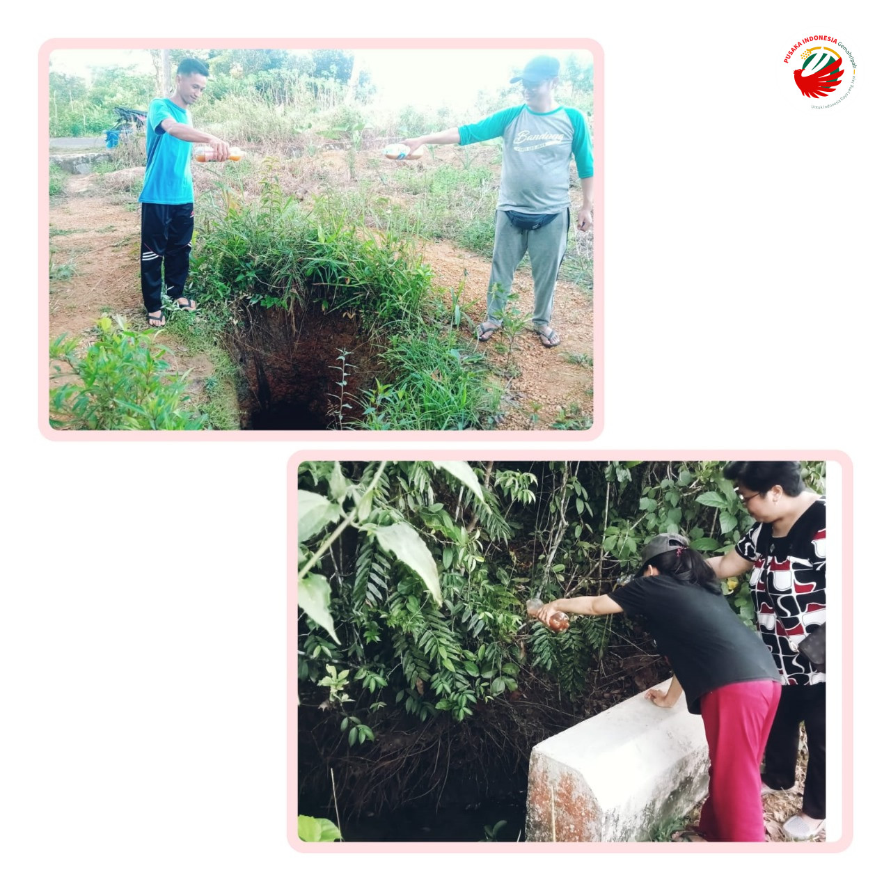 Tiga Langkah Hijau: Panen, Buat, dan Tuang Eco Enzyme di Kampung Sigma ...